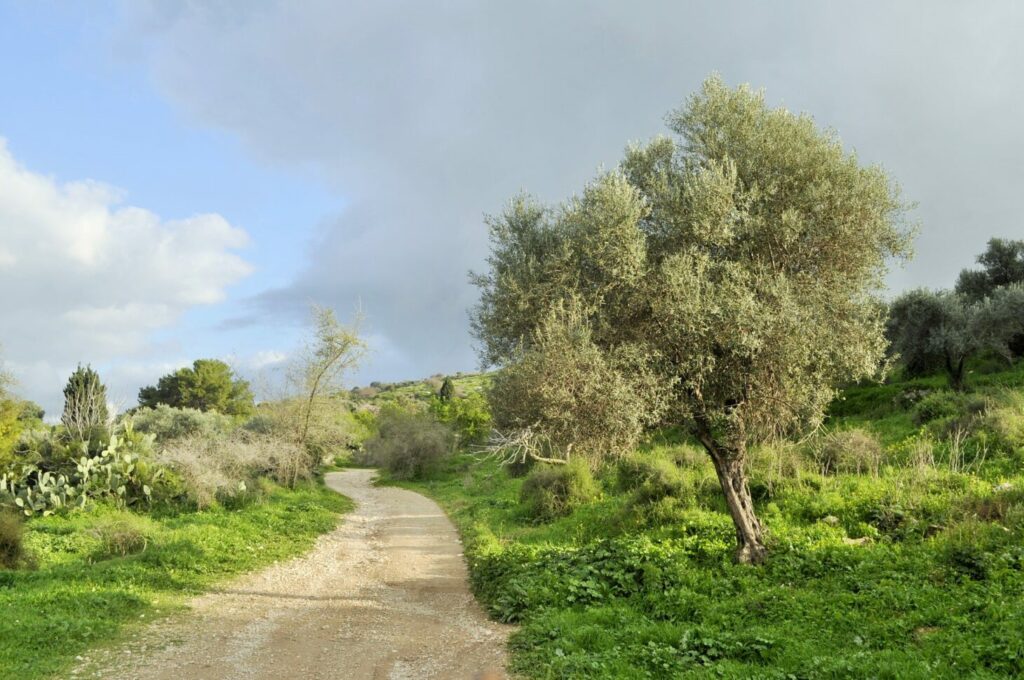 Camino de Emaús - Tierra Santa, una nueva ruta - Primeros Cristianos